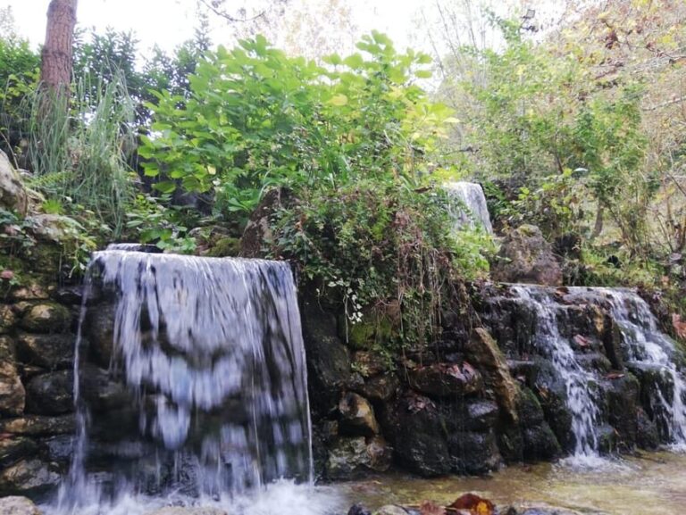 Sapanca & Masukiye Full-Day Tour with Lunch and Transfers - Final Thoughts
