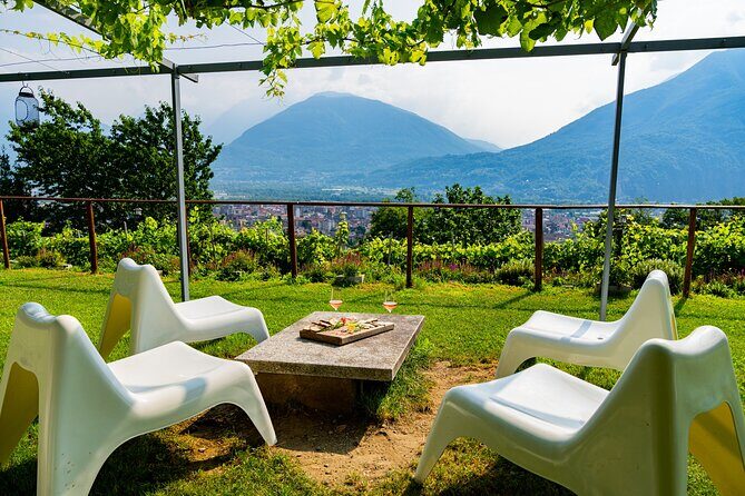 Savor Ossola Wines & Local Treats in a Scenic Vineyard - The Scenic Setting & Why It Matters