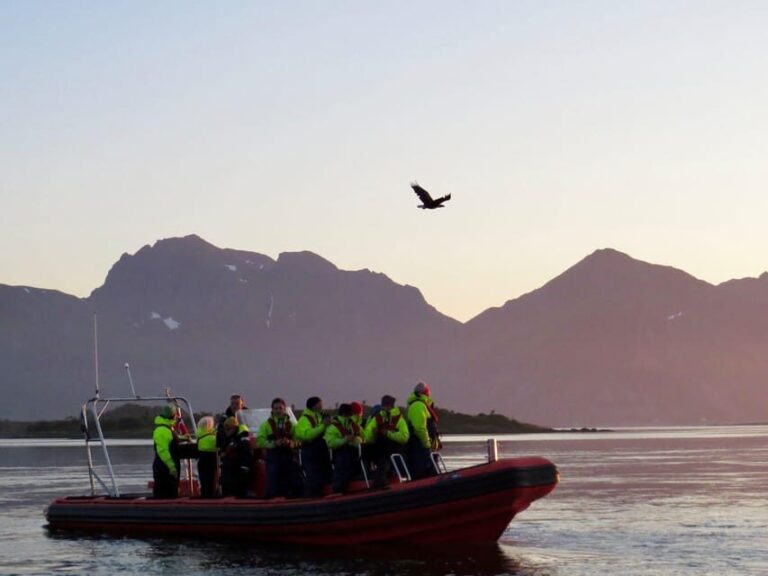 Sea Eagle/Nature Safari - Who Will Love This Tour?