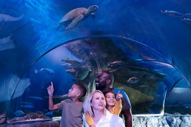 SEA LIFE Aquarium Minnesota Admission Ticket at Mall of America - Practical Tips for Visiting