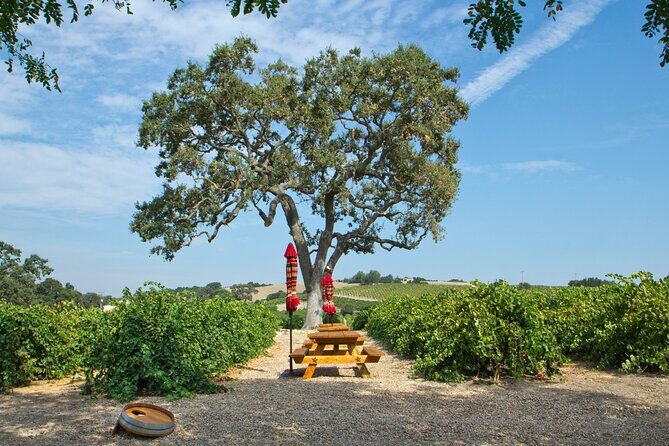 Semi-Private, Modified Hop-On Hop-Off Wine Tasting Tour from Morro and Cayucos - Final Thoughts: Is It Worth the Price?