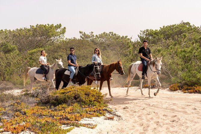 Setubal & Comporta Trip with Horseback Riding from Lisbon - What Travelers Are Saying: Honest Feedback