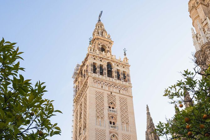 Seville Cathedral and the Giralda skip the line private tour - The Sum Up