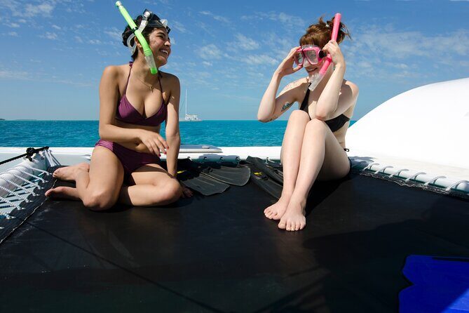 Shallow Water Snorkeling and Dolphin Watching in Key West - Authentic Experiences and Guest Perspectives