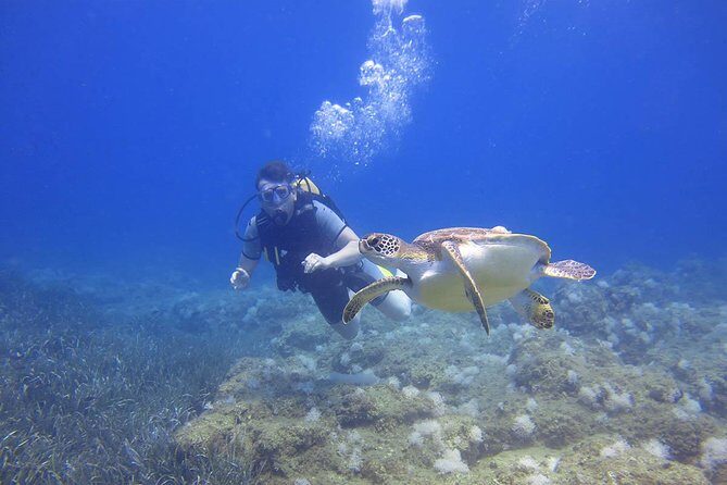 Side: Scuba Diving Under Water Museum