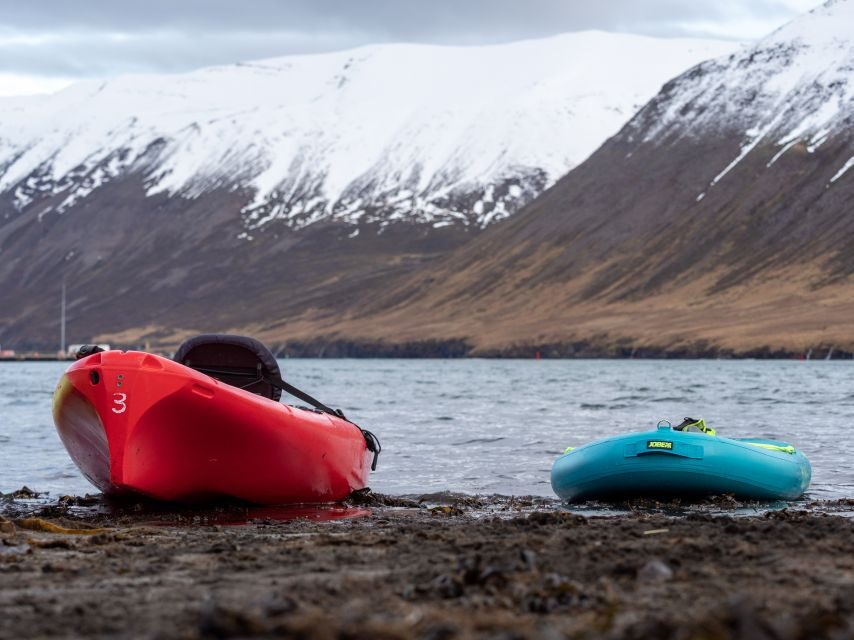Siglufjörður / Siglufjordur: Private Guided kayak tour.
