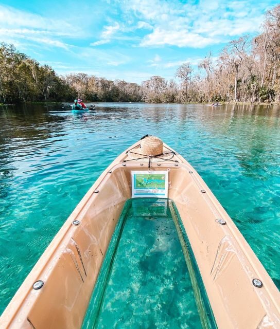 Silver Springs: Glass Bottom Kayak and Wildlife Tour - Value and Practical Insights