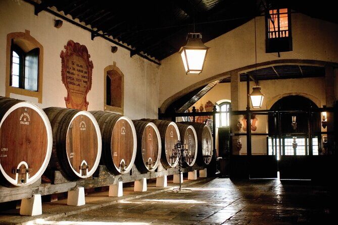 Sintra Private Convertible Wine Tour 2/3 Pax - The Practicalities and Value