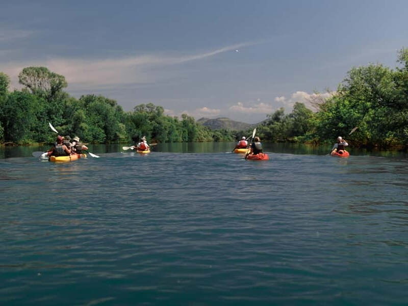 Skadar Lake: 4-Hour Guided tours on Kayak
