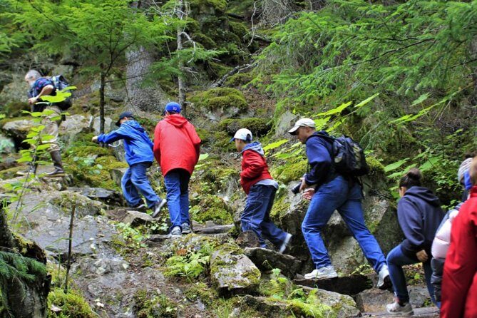 Skagway Shore Excursion Chilkoot Trail Hike and Float Tour - Why the Tour Offers Great Value