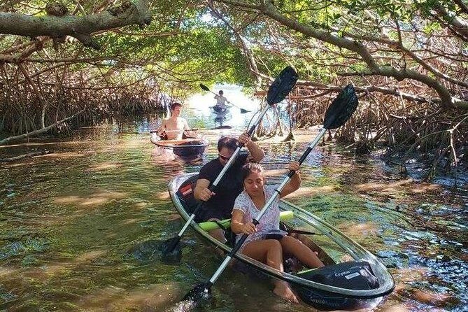 Small-Group Clear Kayak Tour in Shell Key - Navigating the Mangrove Tunnels and Natural Highlights