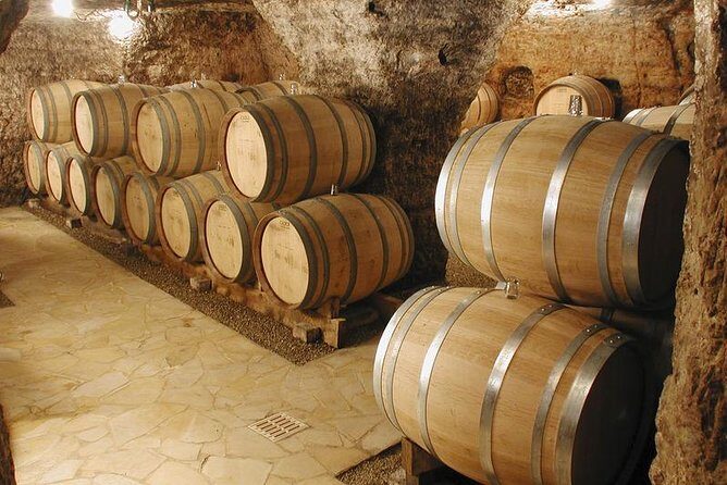 Small-Group Full-Day Private Wine Tour from Avignon