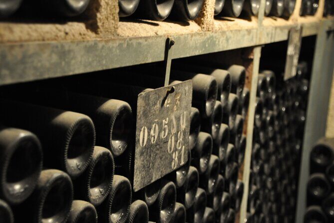 Small-Group Full-Day Tour of Côte de Nuits, Côte de Beaune Vineyards and Beaune Historical District