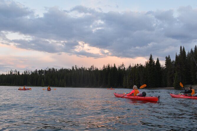 Small-Group Sunset Kayaking Tour on Lake Yellowstone - The Experience: What Makes This Tour Special