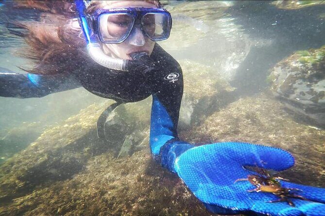 Snorkel Tour at Magic Island - The Value of the Experience