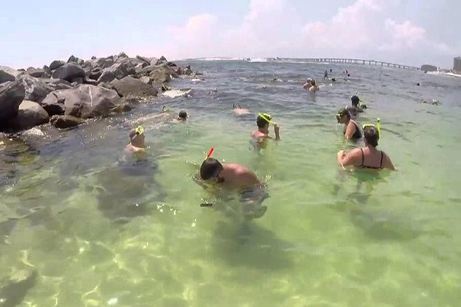 Snorkeling, Shelling & Eco Excursion - Practical Tips for Booking and Enjoying Your Tour