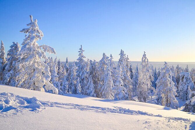 Snowmobile Adventure in Lapland - Authenticity and Comfort