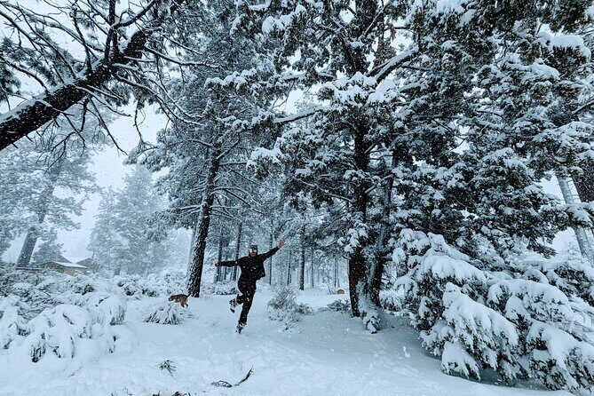 Snowshoe Tour Big Bear Lake with Hot Chocolate - Final Thoughts: Is This Tour Worth It?