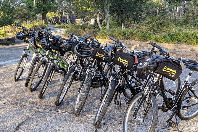 Sonoma Valley Pedal Assist Bike Tour - What Travelers Say