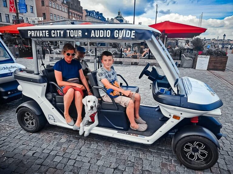 Stockholm Highlights by Golf Cart Tour - In-Depth: What You Can Expect on the Tour