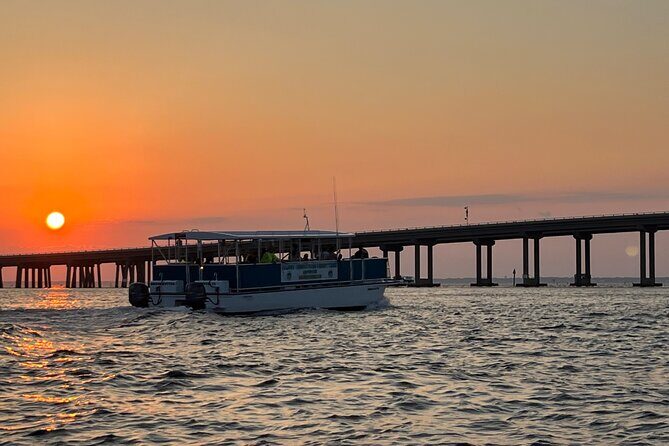 Sunset Dolphin Cruise - Who Will Appreciate This Tour?