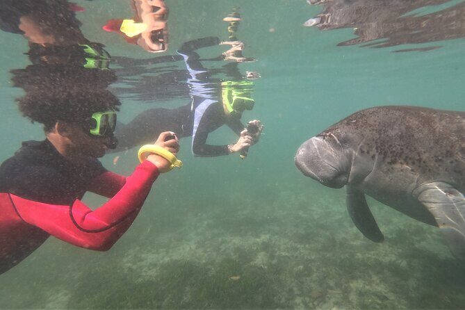 Swim With Manatees In Crystal River, Florida - FAQ