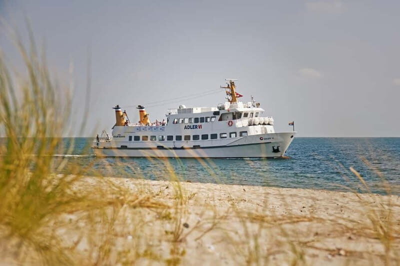 Sylt: Shell safari with boat | incl. Mussel tasting & 1 glass of wine