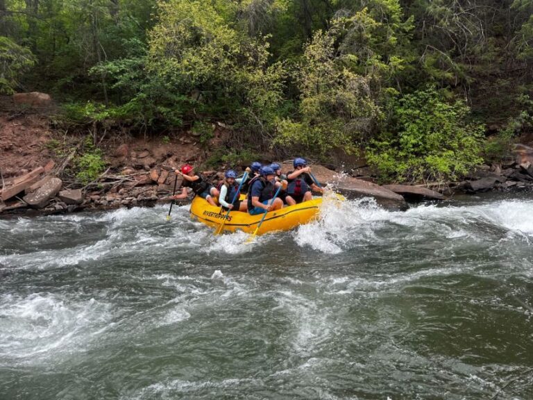 Telluride: Half-Day Rafting on the San Miguel River - Logistics and Practical Tips