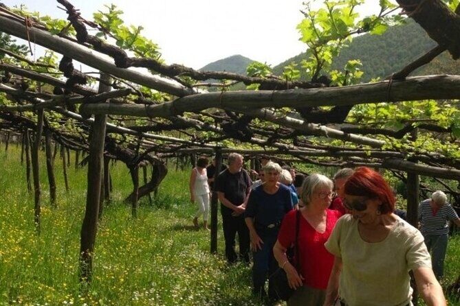 Tenuta San Francesco Wine Tasting - Authenticity and Value
