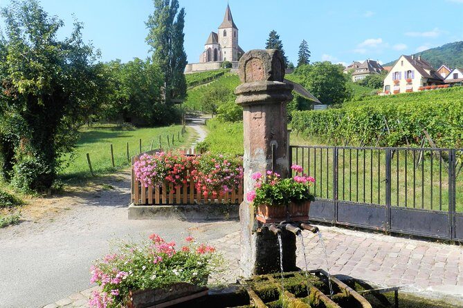 The Emblematic: visit of villages, Haut-Koenigsbourg, Wine tasting - Transport, Group Size, and Overall Value