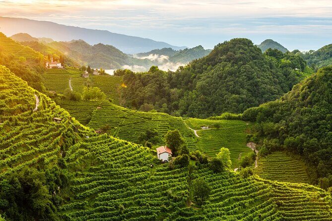 Tour in the Prosecco Hills Tour from Padua - FAQs