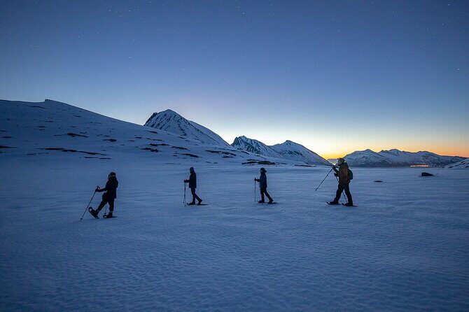 Tromsø: Arctic Landscapes Hiking / Snowshoeing Tour in the wild