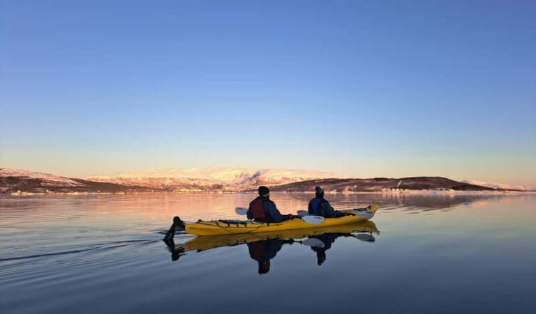 Tromsø: Easy Winter Kayaking Tour with Seal Watching - What to Expect on the Tour
