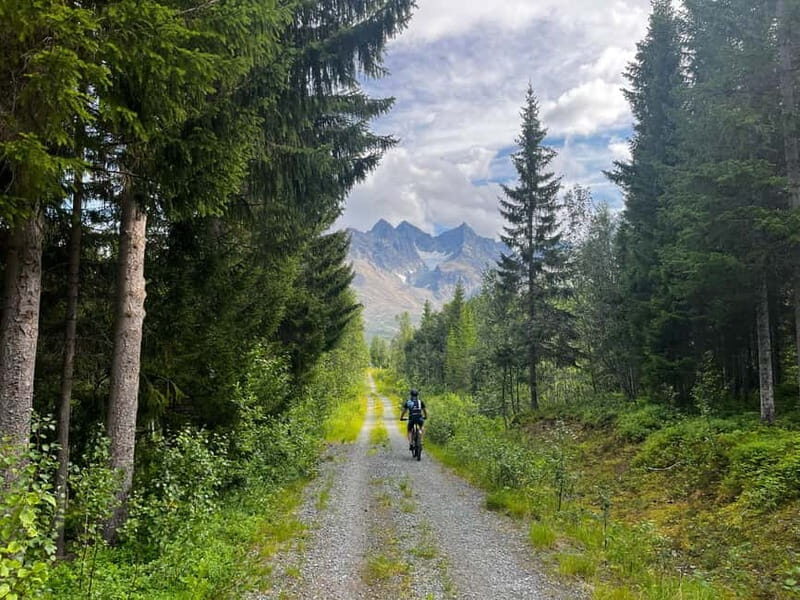 Tromsø: Lyngen Alps Electric Mountain Bike Tour