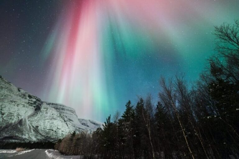 Tromsø: Northern Lights tour with local experts - Analyzing the Price and Value