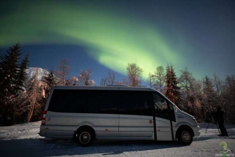 Tromsø: Northern Lights Trip with Campfire and Snacks - Who Is This Tour Best For?