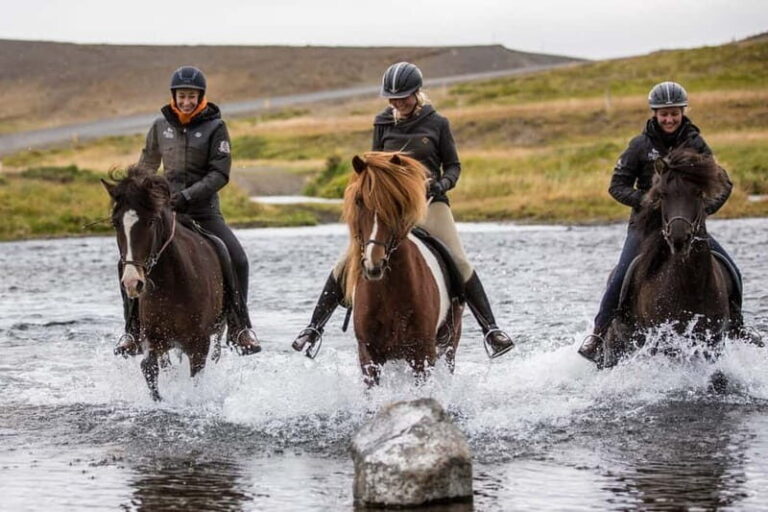 Varmahlid: 1-Hour Icelandic Horse Riding Tour - What to Expect During Your Ride