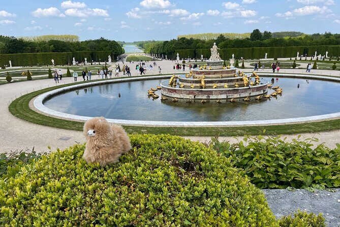 Versailles Half Day Private Tour Trianons & Gardens Included - Real Travelers’ Experiences: Insights and Caveats