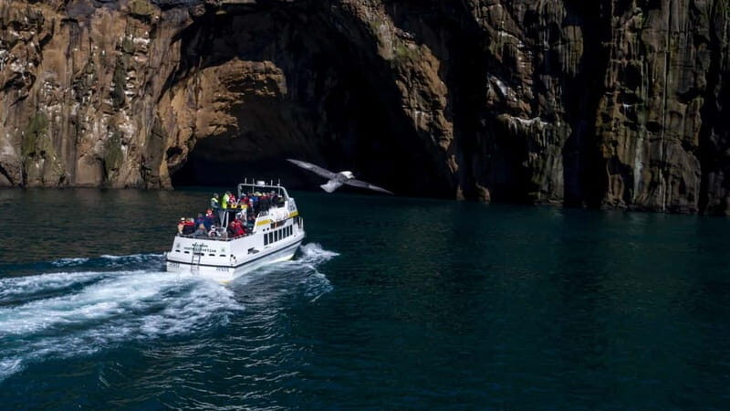 Vestmannaeyjar: Puffin, Island, and Volcano Boat Tour