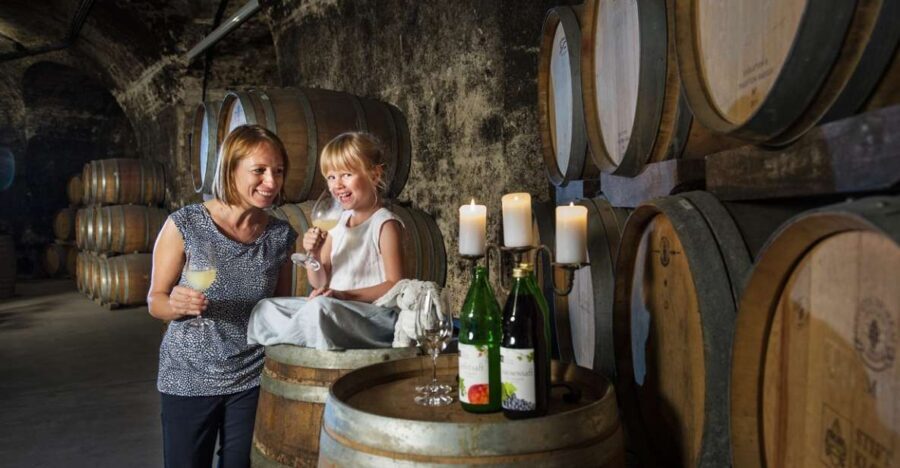 Vienna: Wine Tasting E-Bike Tour