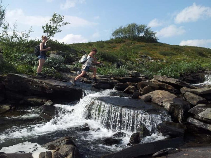 Vindelfjäll nature reserve: A walk through reindeer country