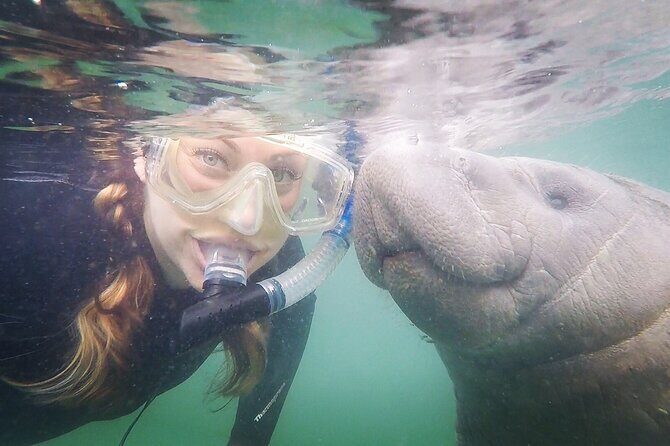 VIP Private Boat Manatee Snorkel Tour with In-Water Guide and Photograper - The Sum Up