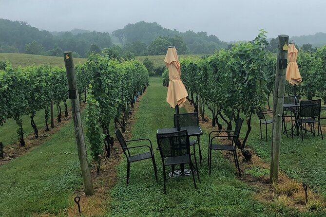 Virginia Winery Excursion By Luxury Vehicle 2-Wineries - The Itinerary in Detail: What to Expect