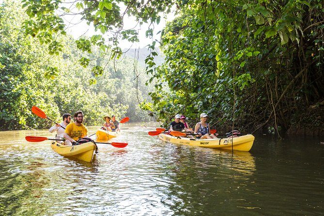 Wailua River Paddle - Why This Tour Offers Great Value