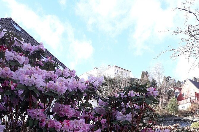 Walking tour: Medieval Spirit of Bergen + sweet Arctic gifts