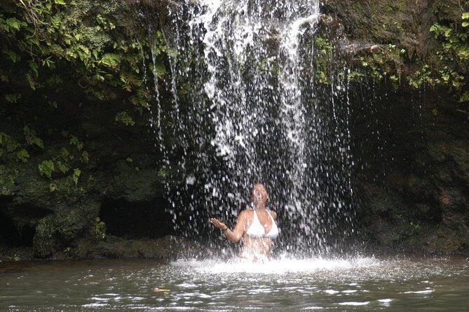 Waterfall & Rainforest Hiking Adventure with Hotel Pickup - Who Will Love This Tour?