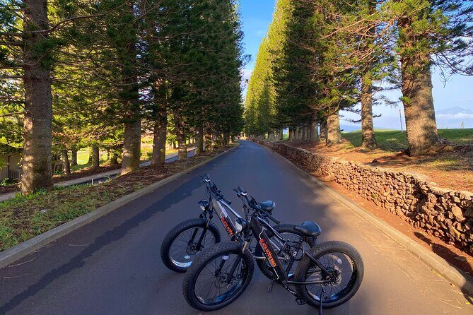 West Maui Electric Bike Rentals - What Makes This E-bike Rental Stand Out?