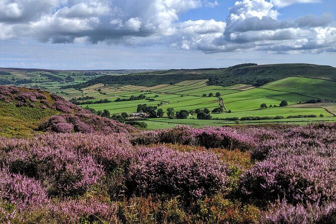 Whitby, Robin Hood's Bay and the Moors from York - Robin Hood’s Bay and Goathland
