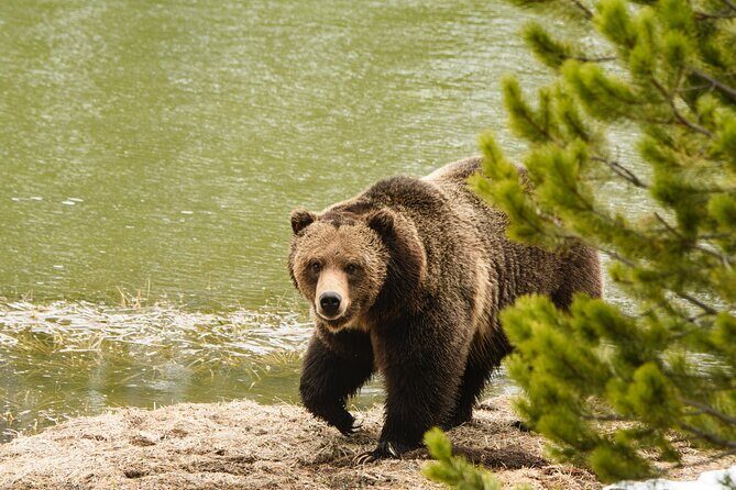 Wildlife and Waterfalls - Waterfalls and Scenic Hiking