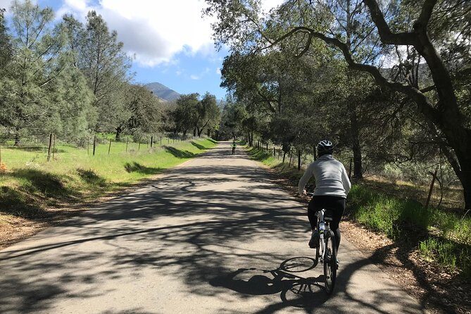 Wine Country Half-Day Bike Tour from Solvang - w/o Lunch - The Real Experience: What Travelers Are Saying